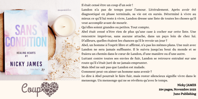 Sans condition (Healing Hearts #1) de Nicky James | Mon Paradis des Livres
