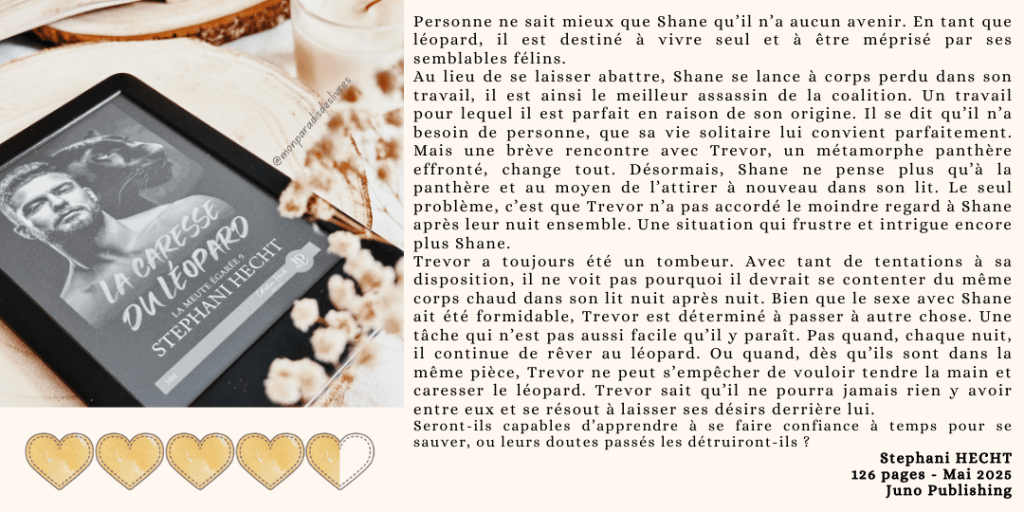 La caresse du léopard (La meute égarée #9) de Stephani Hecht | Mon ...